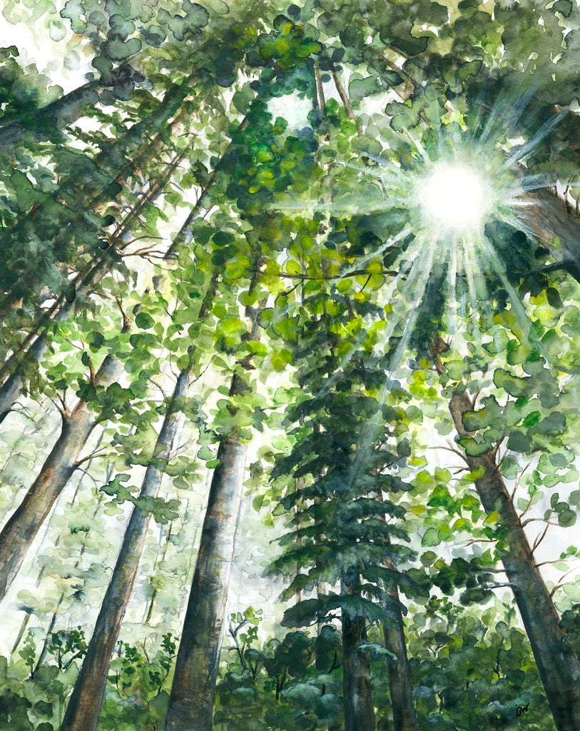 Look Way Way Up – Jill Weston